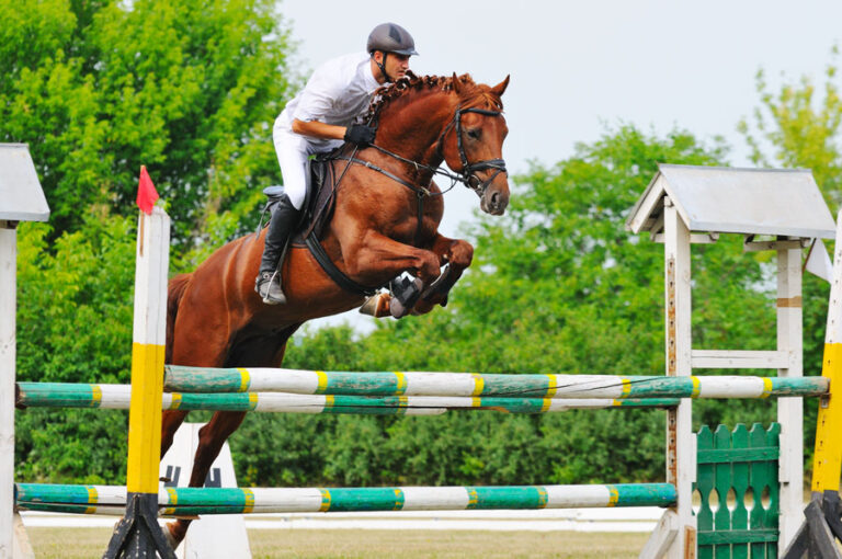 World-Class Equestrian Event Returns: The 2024 Hampton Classic Horse ...