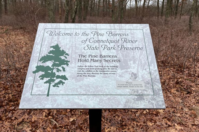 Long Island Pine Barrens - Long Island Guide