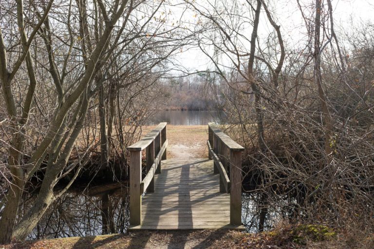 Ridge, New York - Long Island Guide